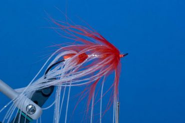 Fly-Tying: Steelhead Intruders - The Squidro • BC Outdoors Magazine