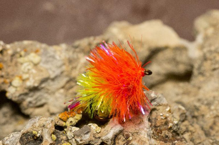Fly Tying The Blob Bc Outdoors Magazine