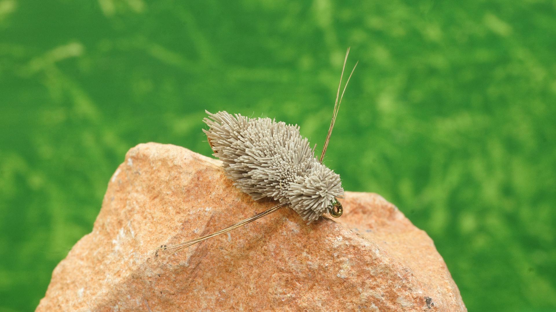 Fly-Tying: Gomphus • BC Outdoors Magazine