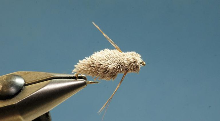 Fly-Tying: Gomphus • BC Outdoors Magazine