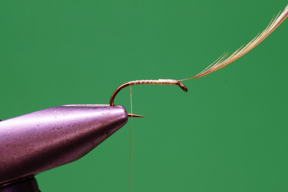 Flymphs: The Forgotten Hybrid? • BC Outdoors Magazine