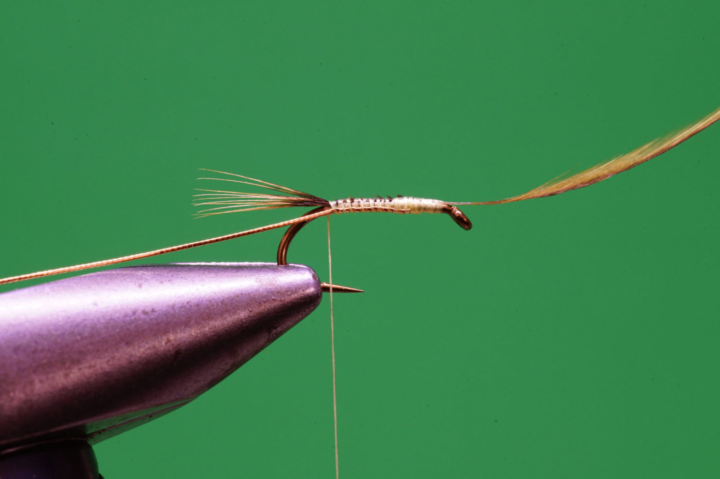 Flymphs: The Forgotten Hybrid? • BC Outdoors Magazine