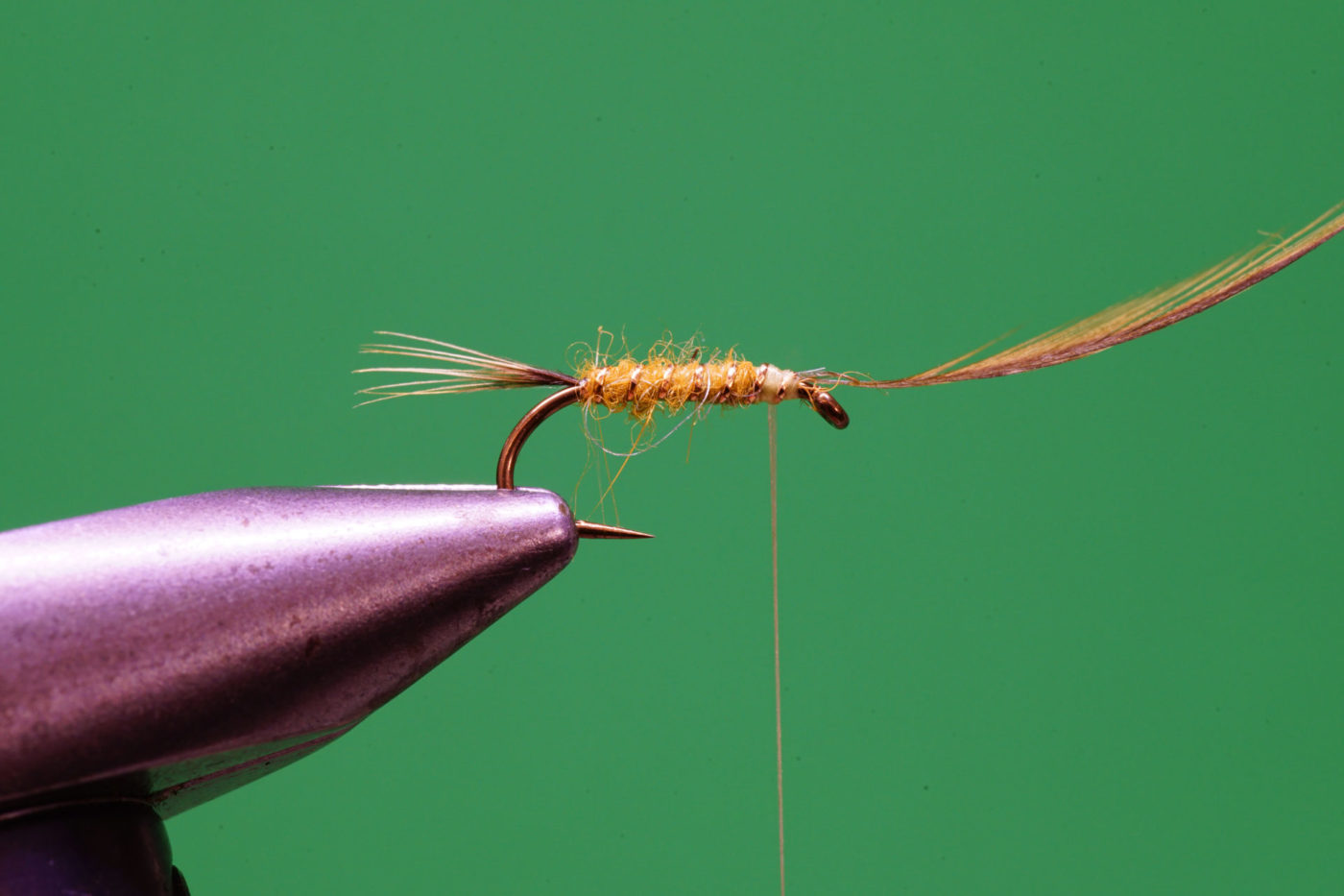 Flymphs: The Forgotten Hybrid? • BC Outdoors Magazine