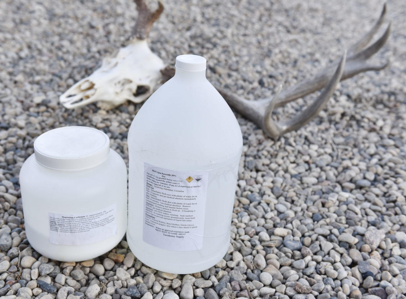 Skull Stew: DIY European Skull Mount • BC Outdoors Magazine