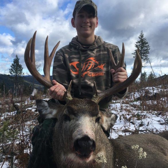 2point mule deer • BC Outdoors Magazine