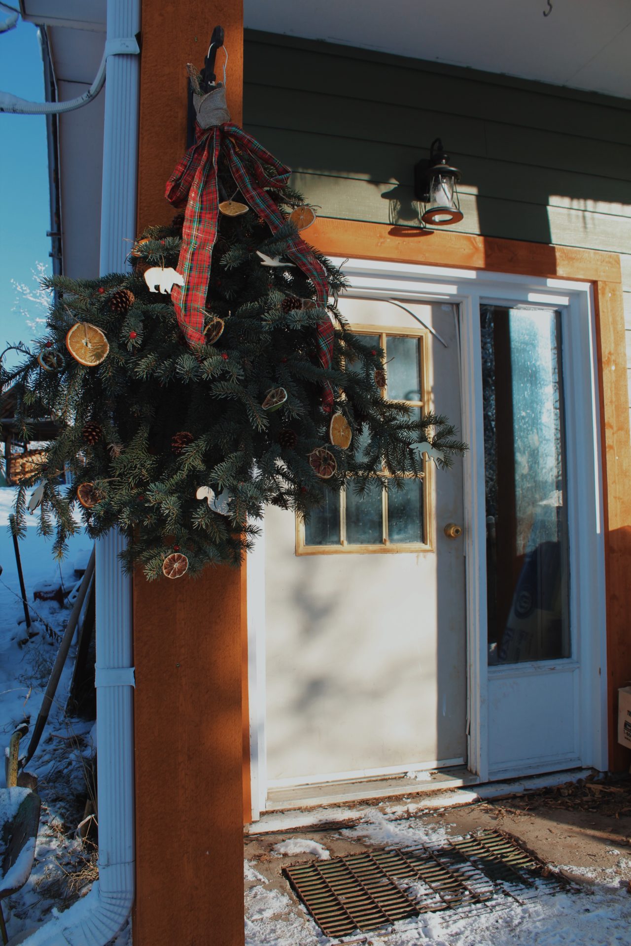 How To Make A Foraged Evergreen Swag • BC Outdoors Magazine