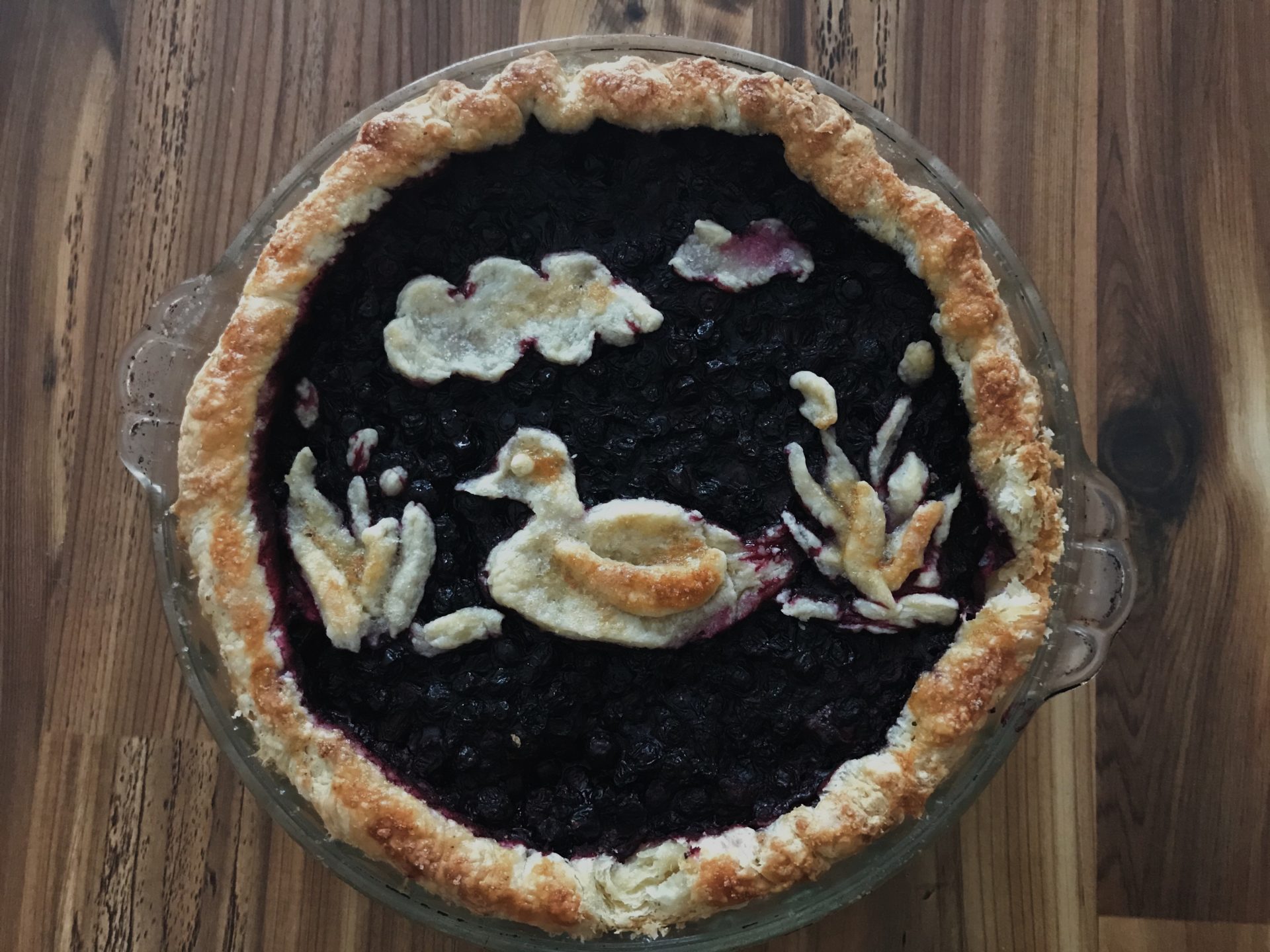 Huckleberry Pie • BC Outdoors Magazine
