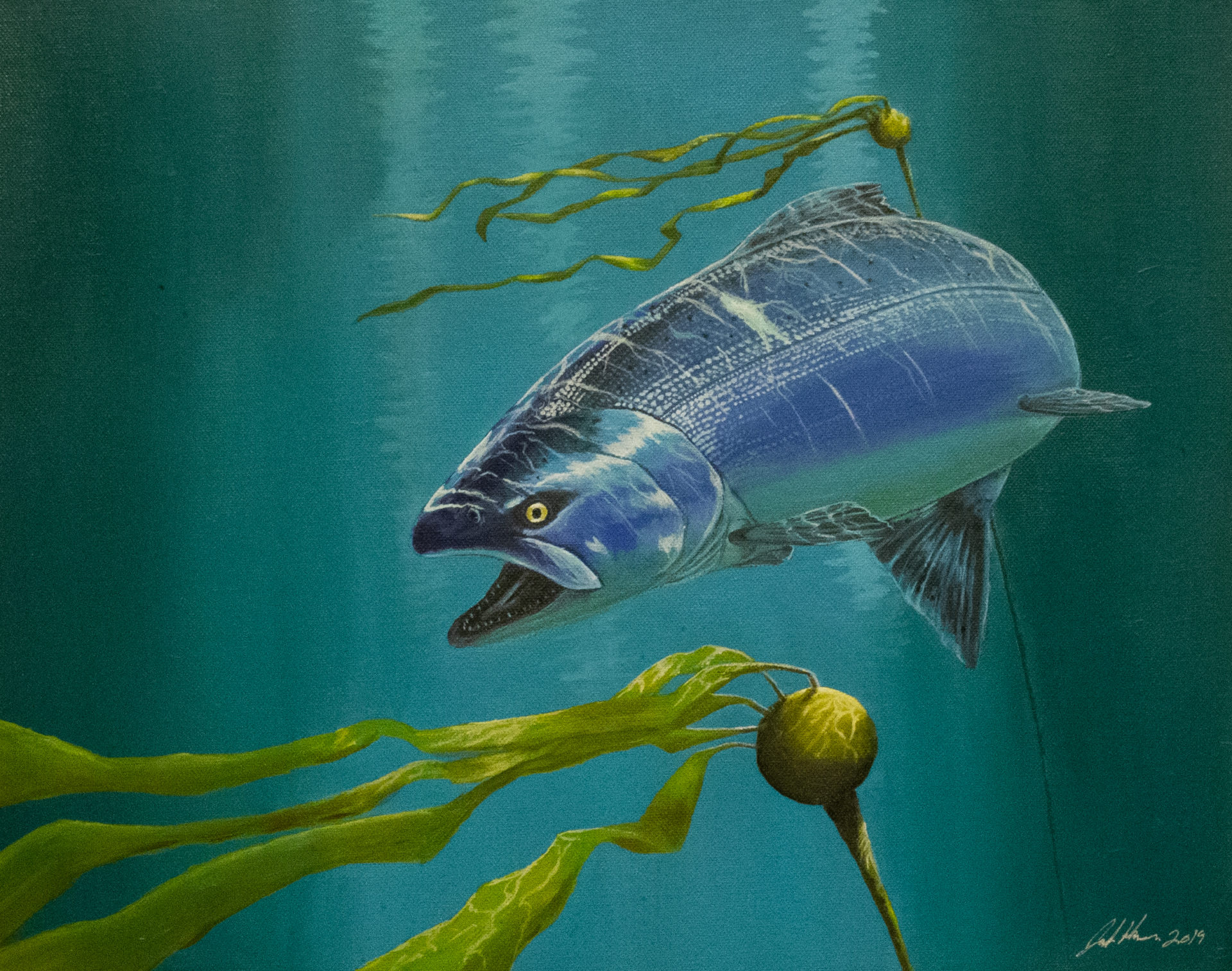 Pacific Salmon Foundation Unveils New Stamp • BC Outdoors Magazine