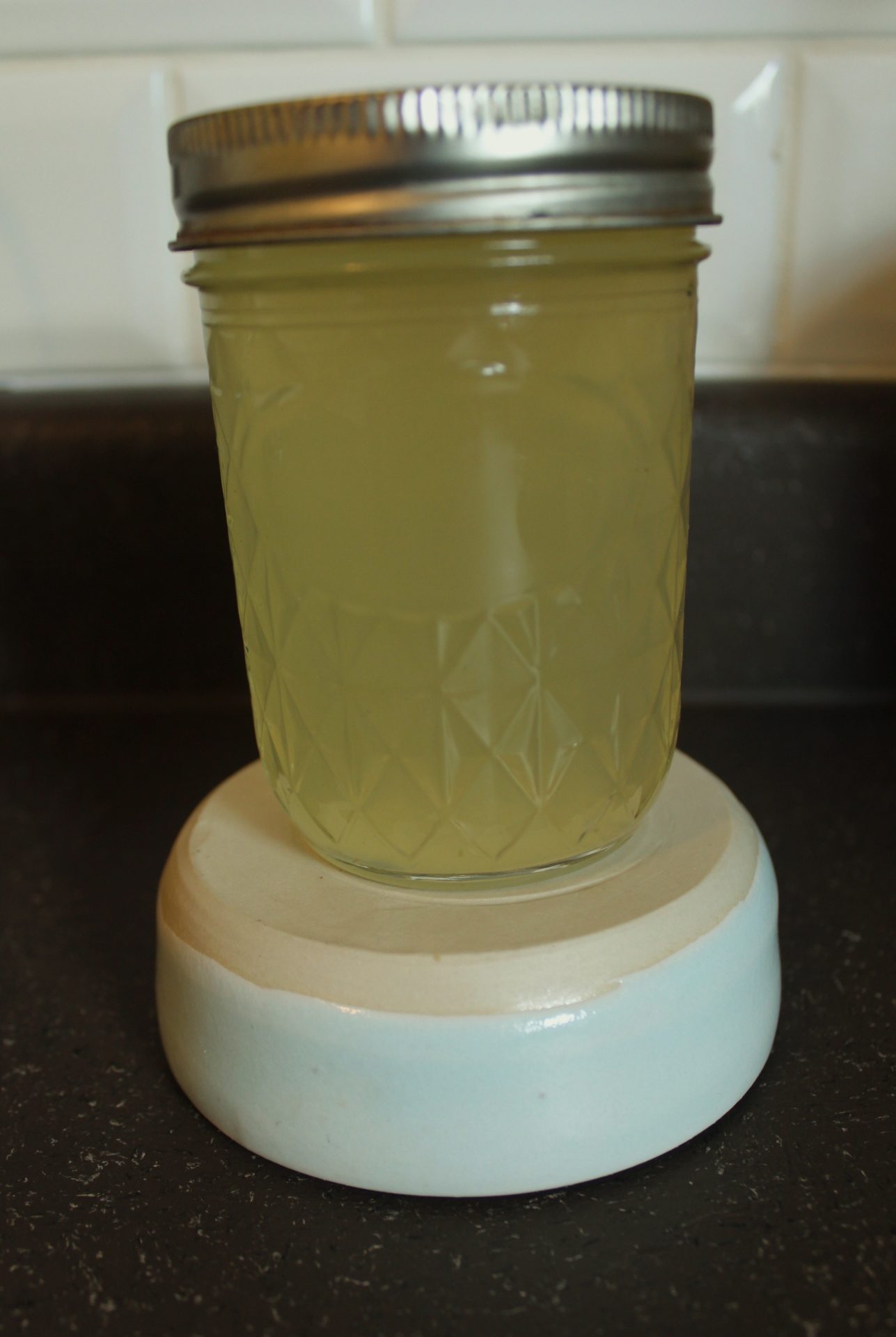 Spring Foraging: How To Utilize Spruce Tips • BC Outdoors Magazine