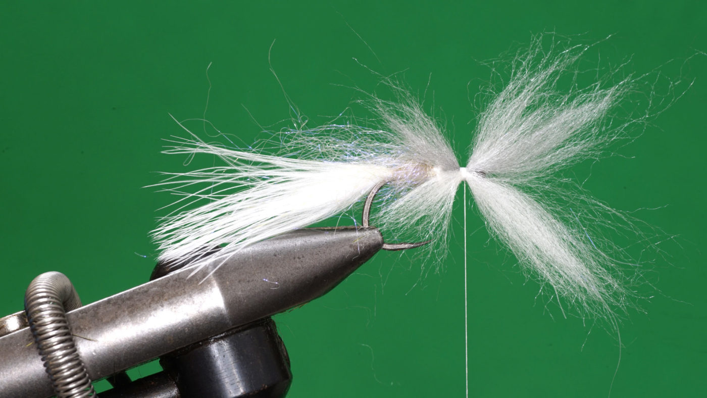 The Baby Fat Minnow • BC Outdoors Magazine