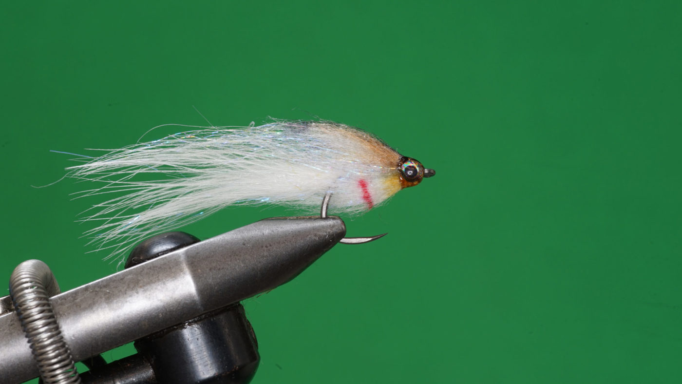 The Baby Fat Minnow • BC Outdoors Magazine
