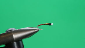 The Swindler • BC Outdoors Magazine