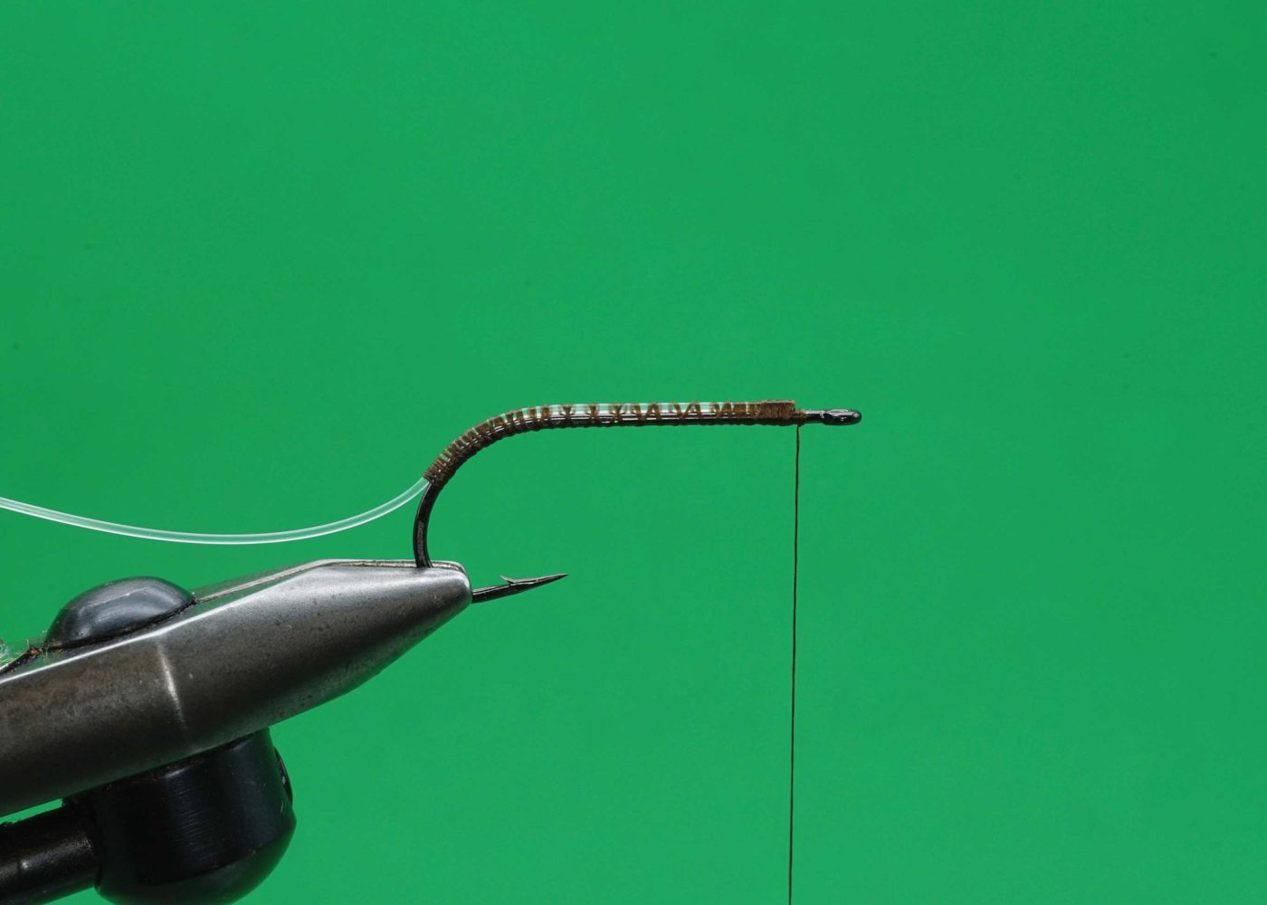Predator Worm: Ideal for chasing bass • BC Outdoors Magazine