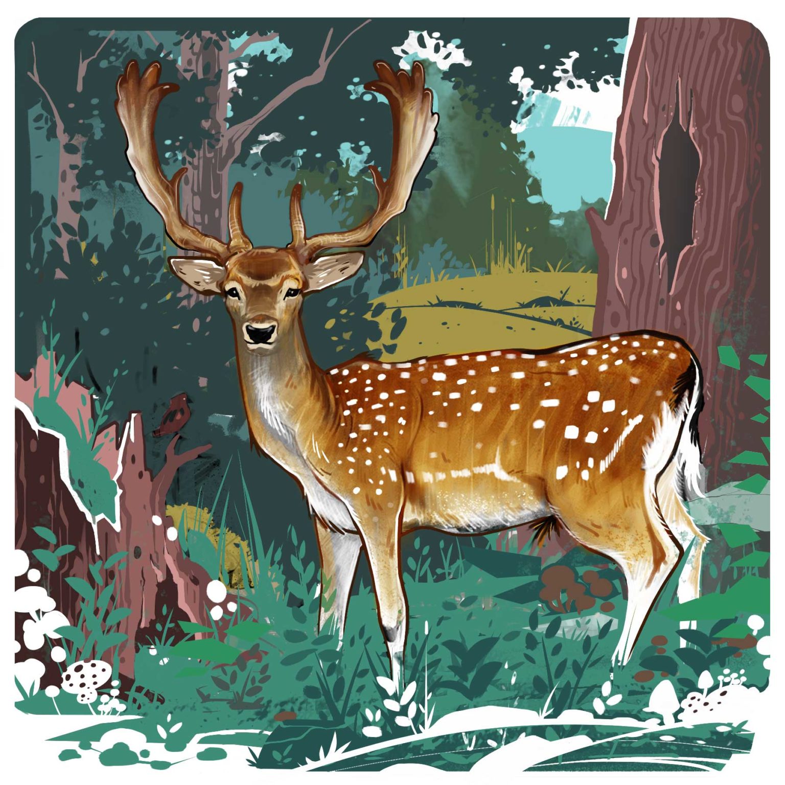 Mellow Yellow Fallow Deer • BC Outdoors Magazine