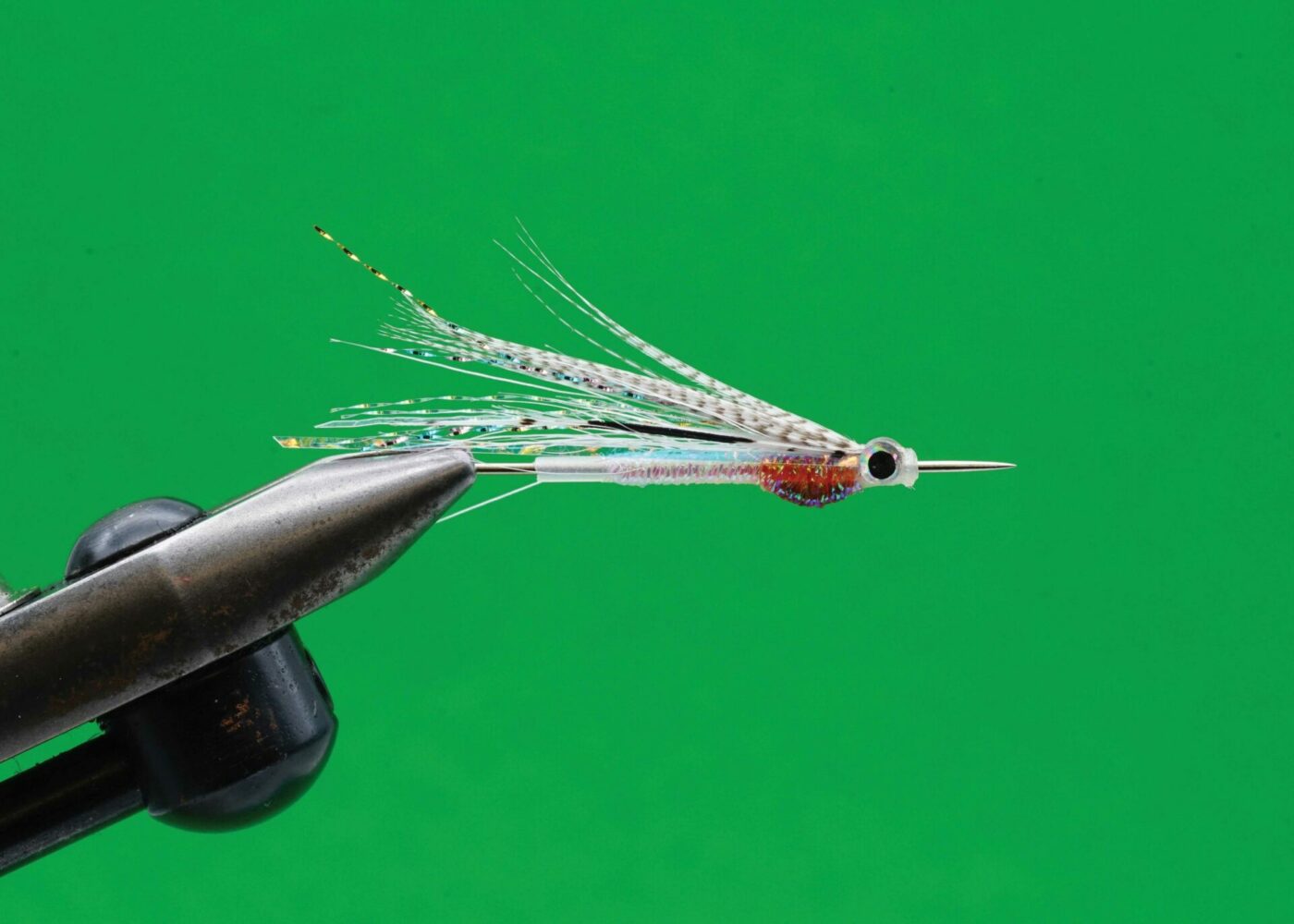 The Perdigon Minnow • BC Outdoors Magazine
