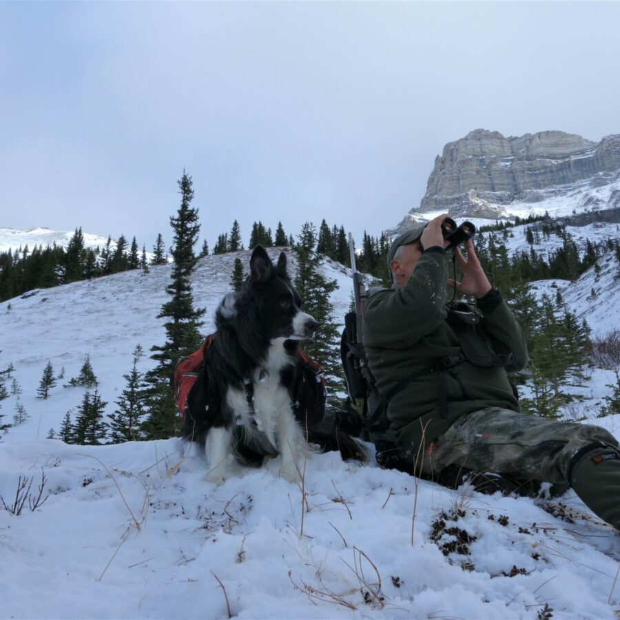 BC Blacktails: Hunt of a Lifetime on Haida Gwaii • BC Outdoors Magazine