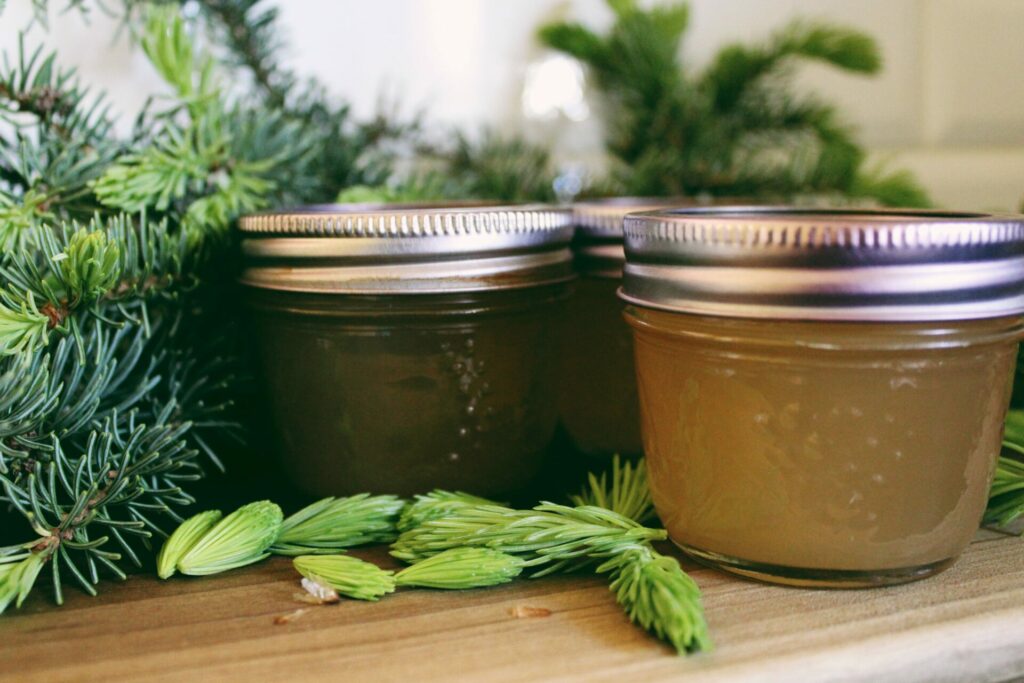 Spruce Tip Jelly • BC Outdoors Magazine