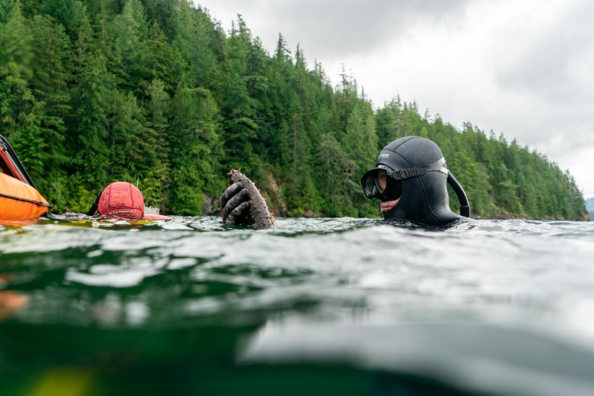 From Tide to Table • BC Outdoors Magazine