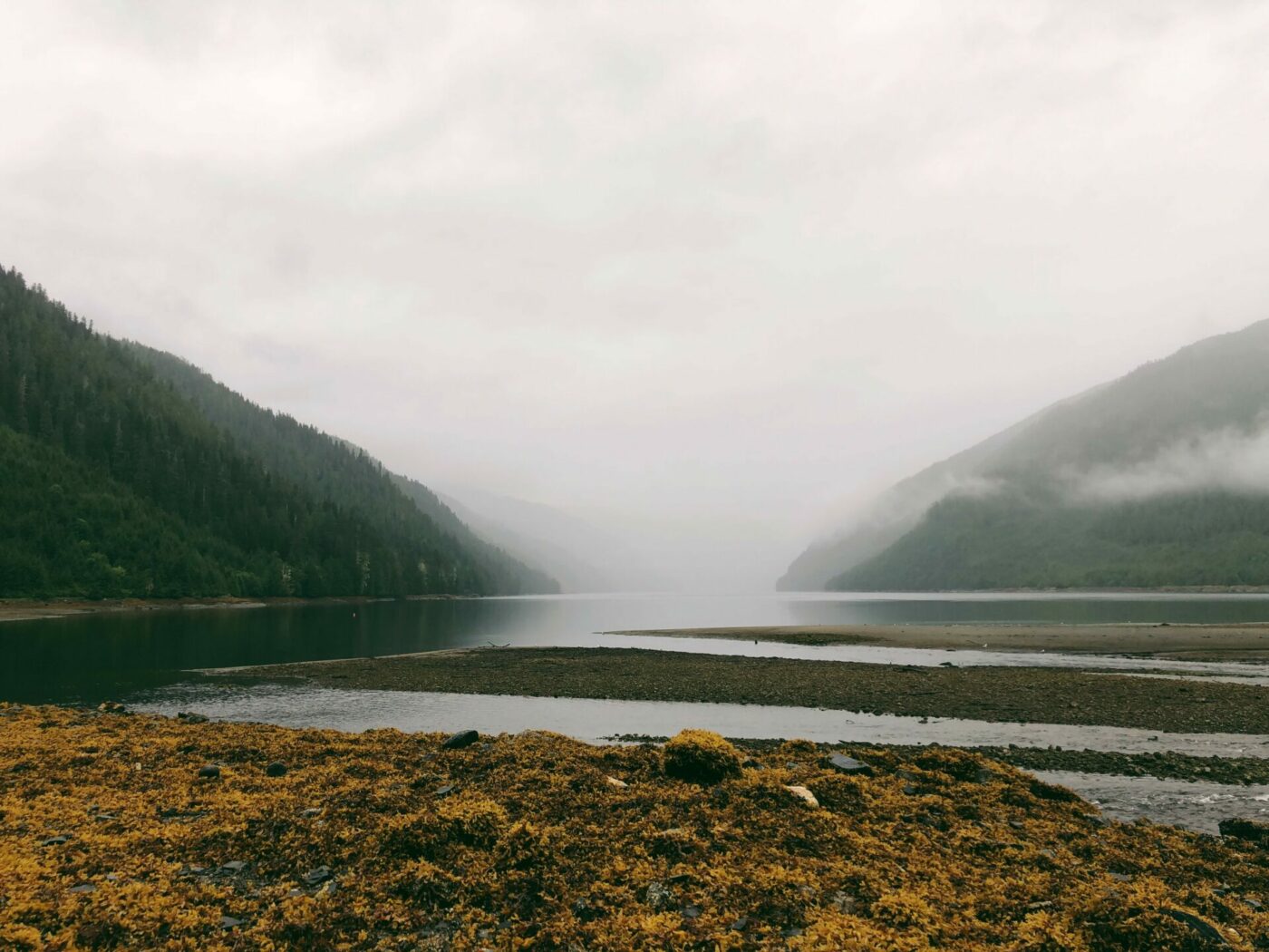 Late July Work Channel Fishing • BC Outdoors Magazine