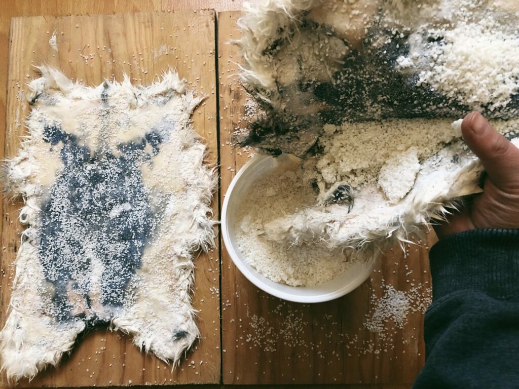 How To Egg Tan A Rabbit Pelt • BC Outdoors Magazine