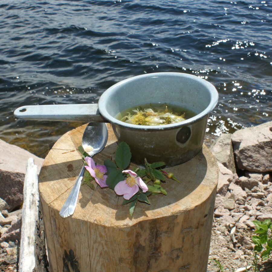 A Beginner’s Guide To Wilderness Survival Foods • BC Outdoors Magazine