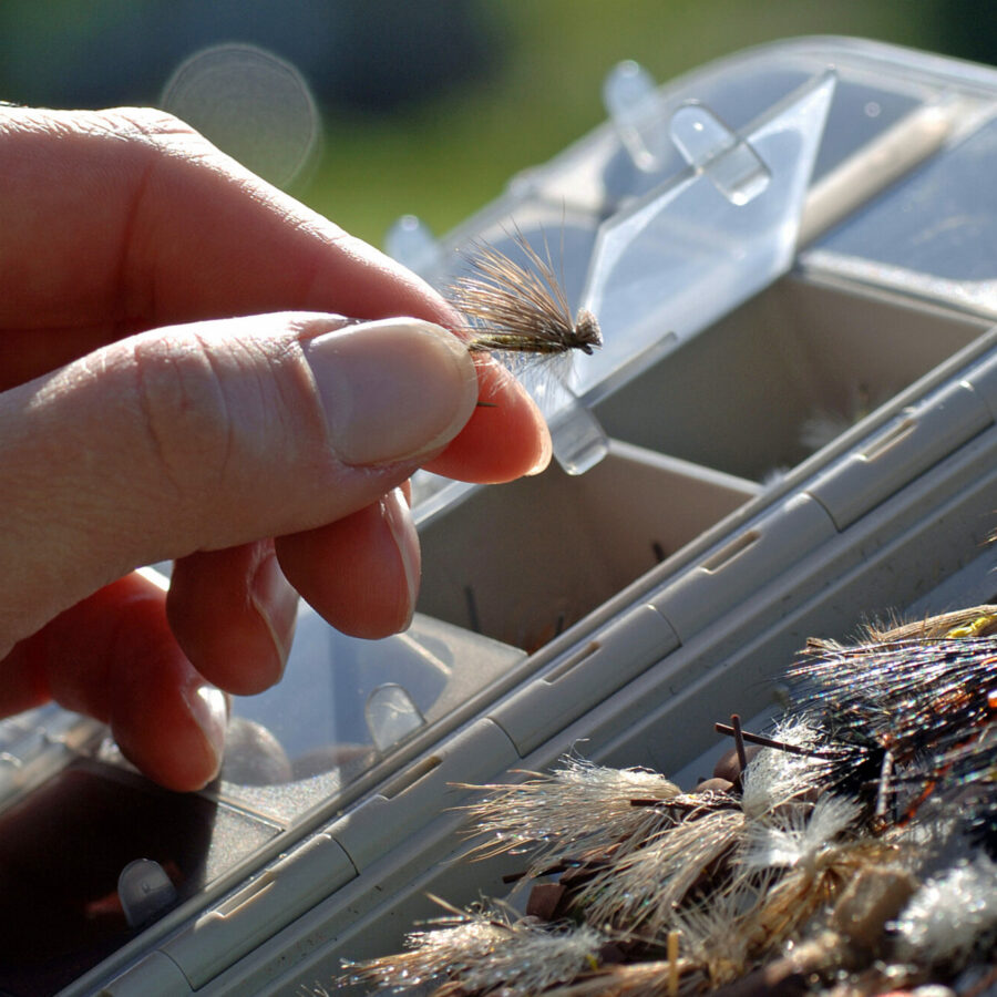 Old School Flies – The Carey Special • BC Outdoors Magazine