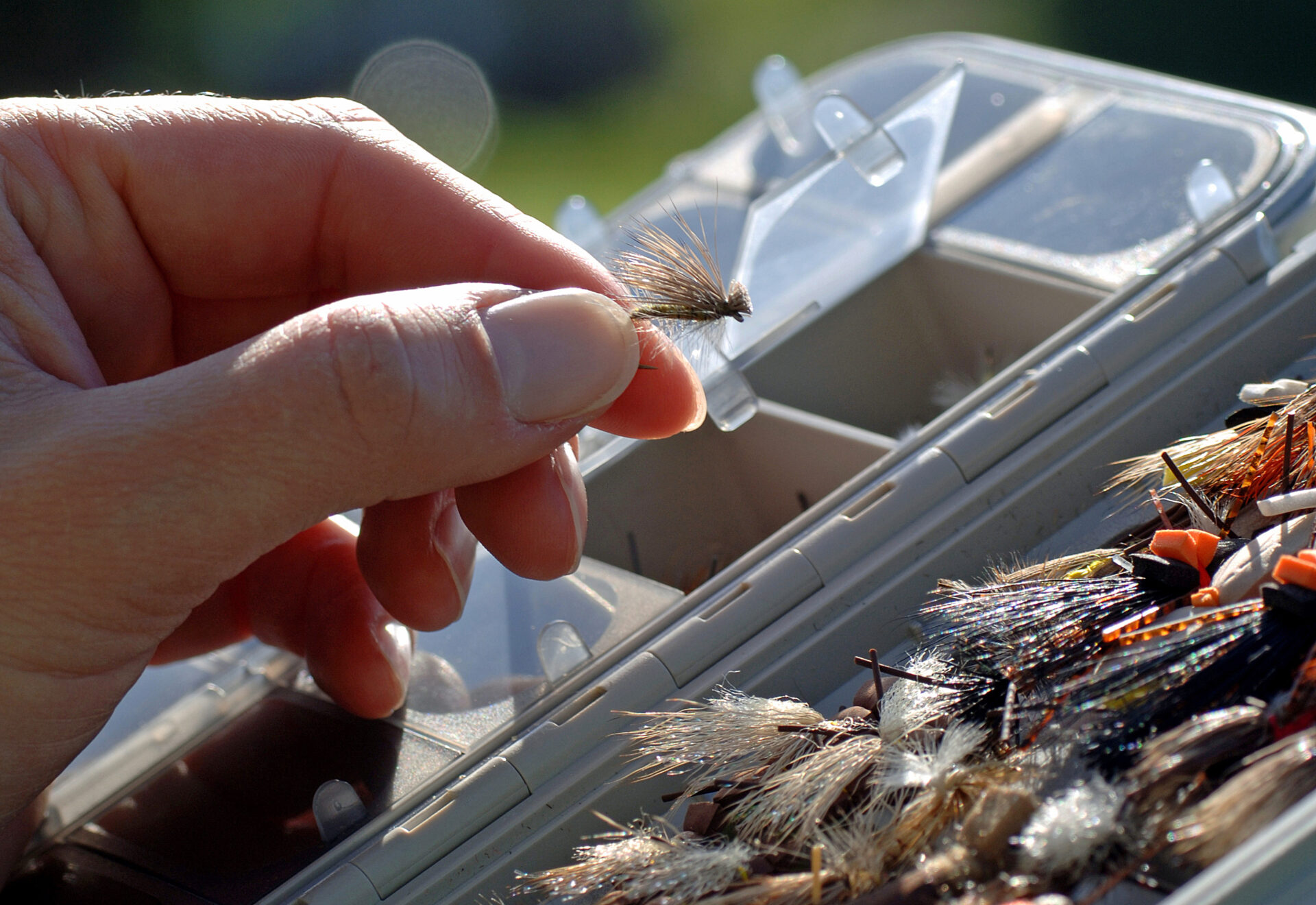 Behind Fly Patterns • BC Outdoors Magazine