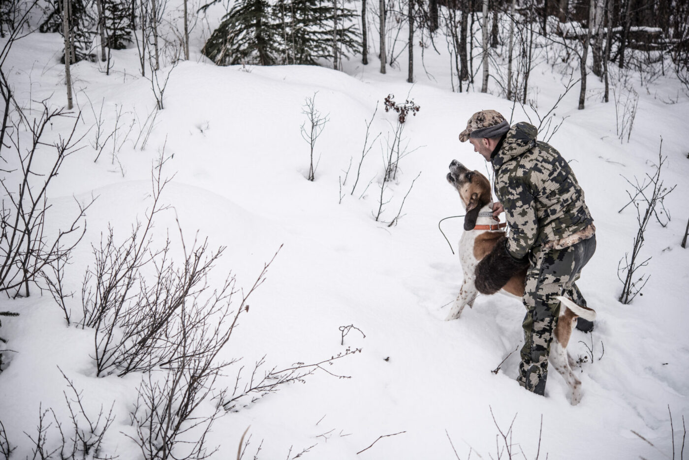 An In-Depth Look At Predator Hunting • BC Outdoors Magazine