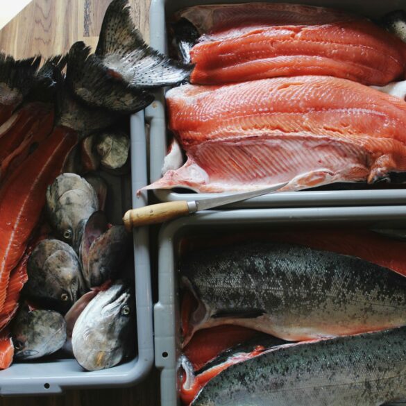 Fly-Tying: TNT • BC Outdoors Magazine