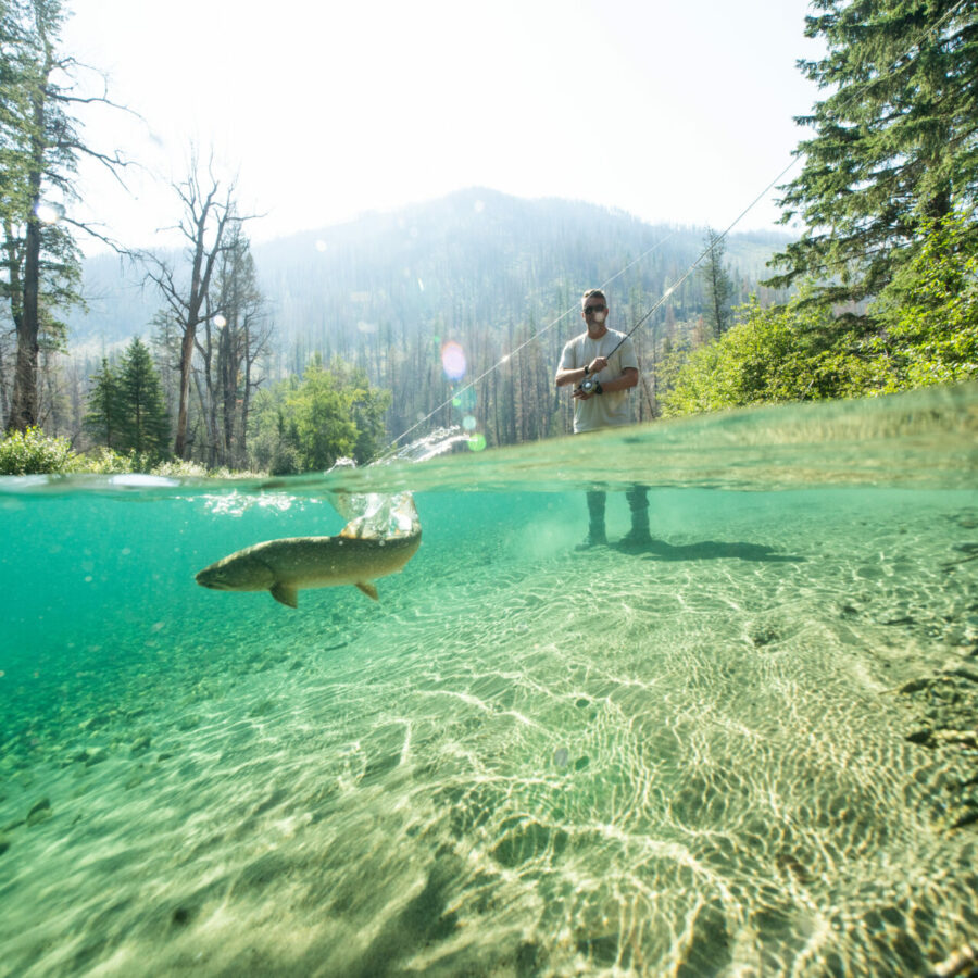 Fly-Tying: The General Practitioner • BC Outdoors Magazine