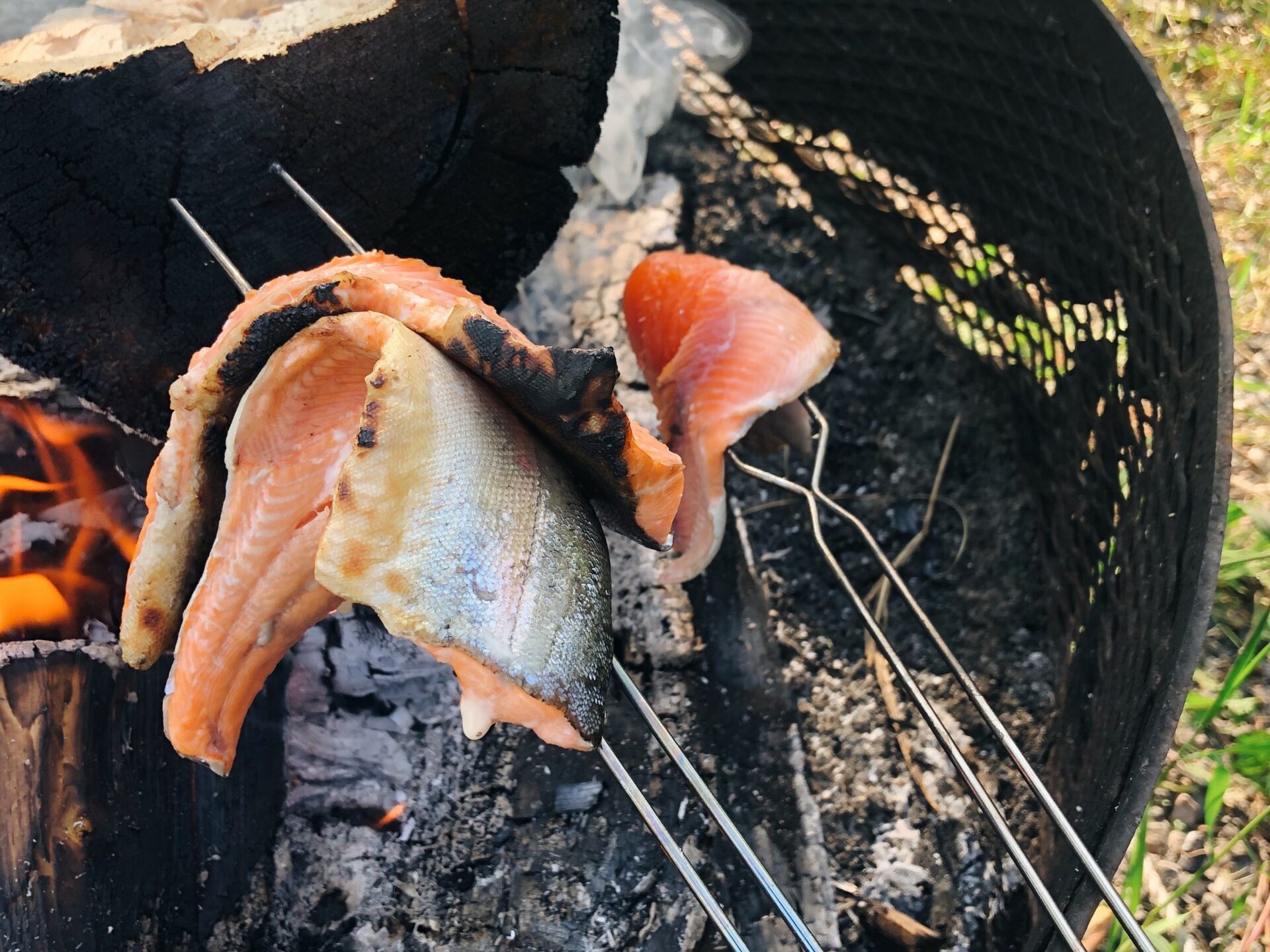 Rainbow Trout Over The Campfire • BC Outdoors Magazine