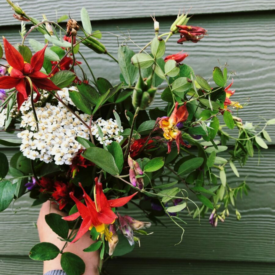 A Beginner’s Guide To Wilderness Survival Foods • BC Outdoors Magazine