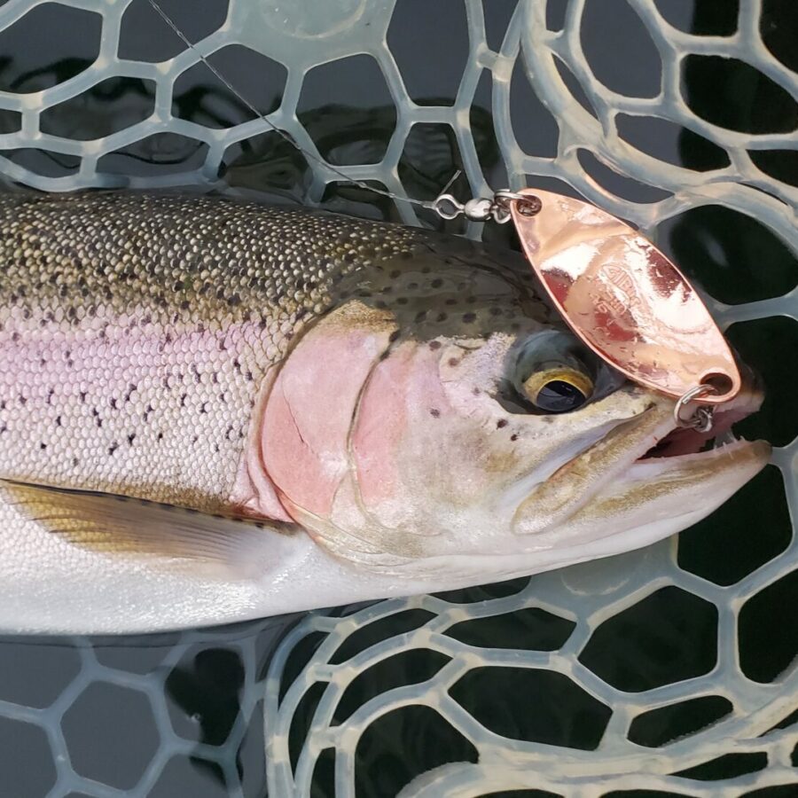 Fly-Tying: Pinch Hitter • BC Outdoors Magazine