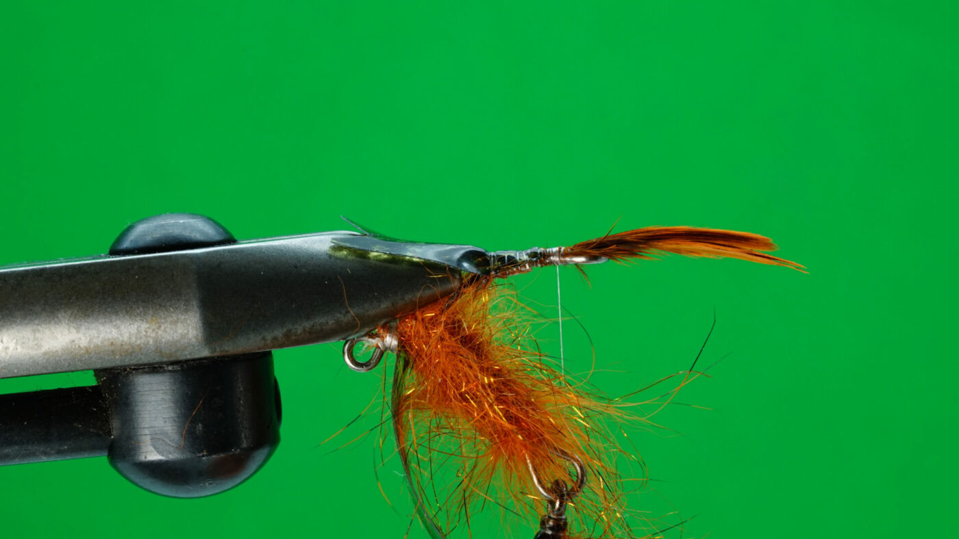 The BC Crayfish • BC Outdoors Magazine