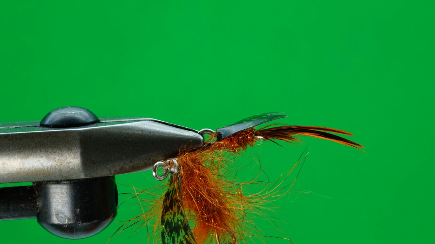 The BC Crayfish • BC Outdoors Magazine