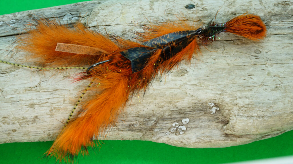 The BC Crayfish • BC Outdoors Magazine