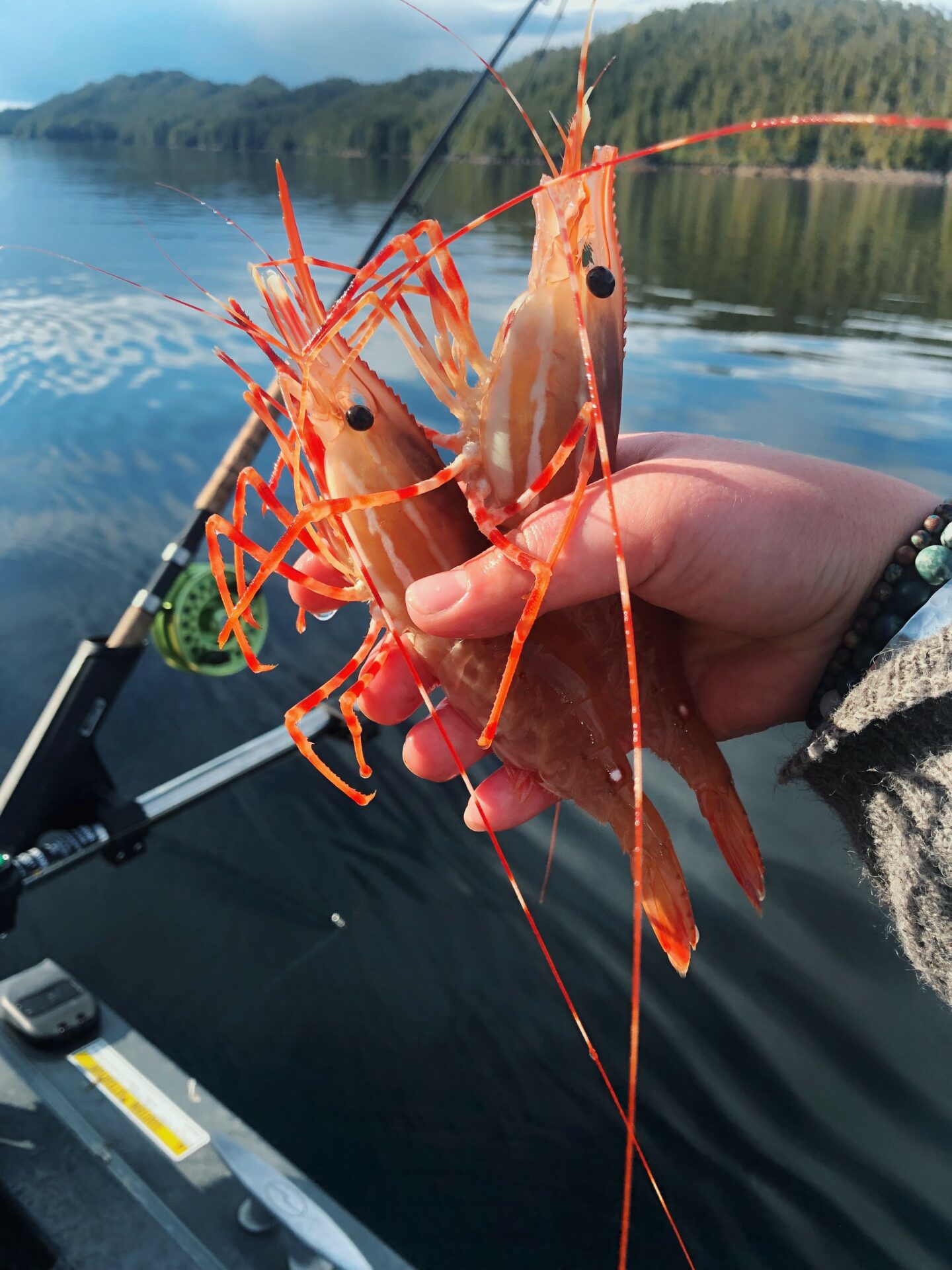 Garlic Prawn And Guacamole Appetizer • BC Outdoors Magazine