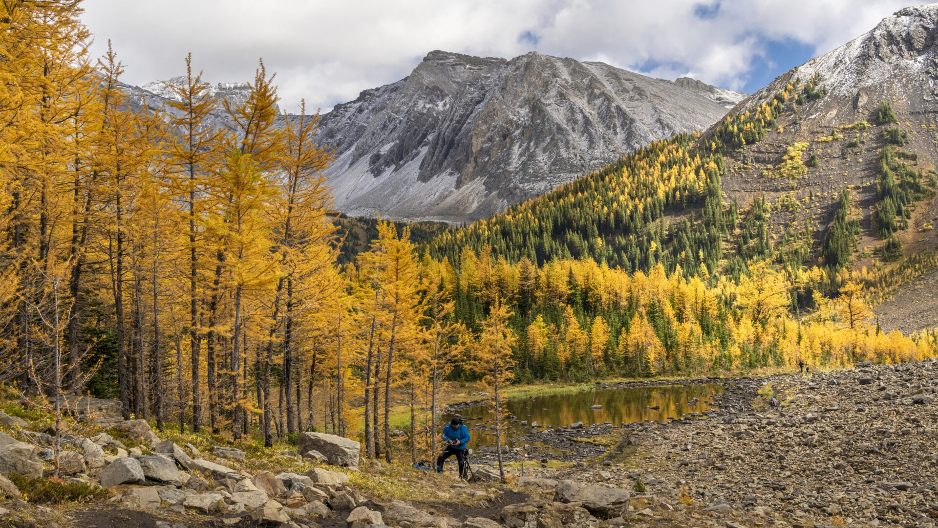A Boots-On-The-Ground Perspective Of Forest Conservation • BC Outdoors ...