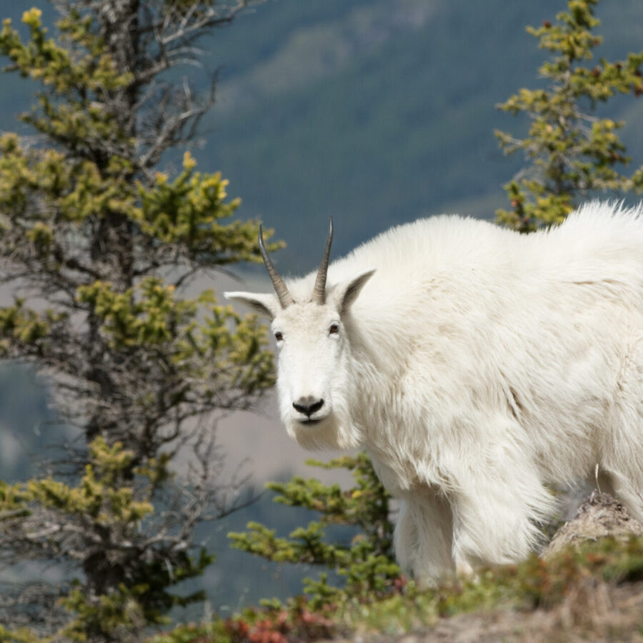 BC Outdoors Magazine