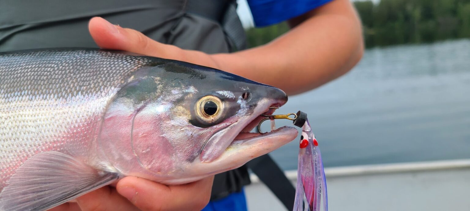 Jigging For Kokanee • BC Outdoors Magazine