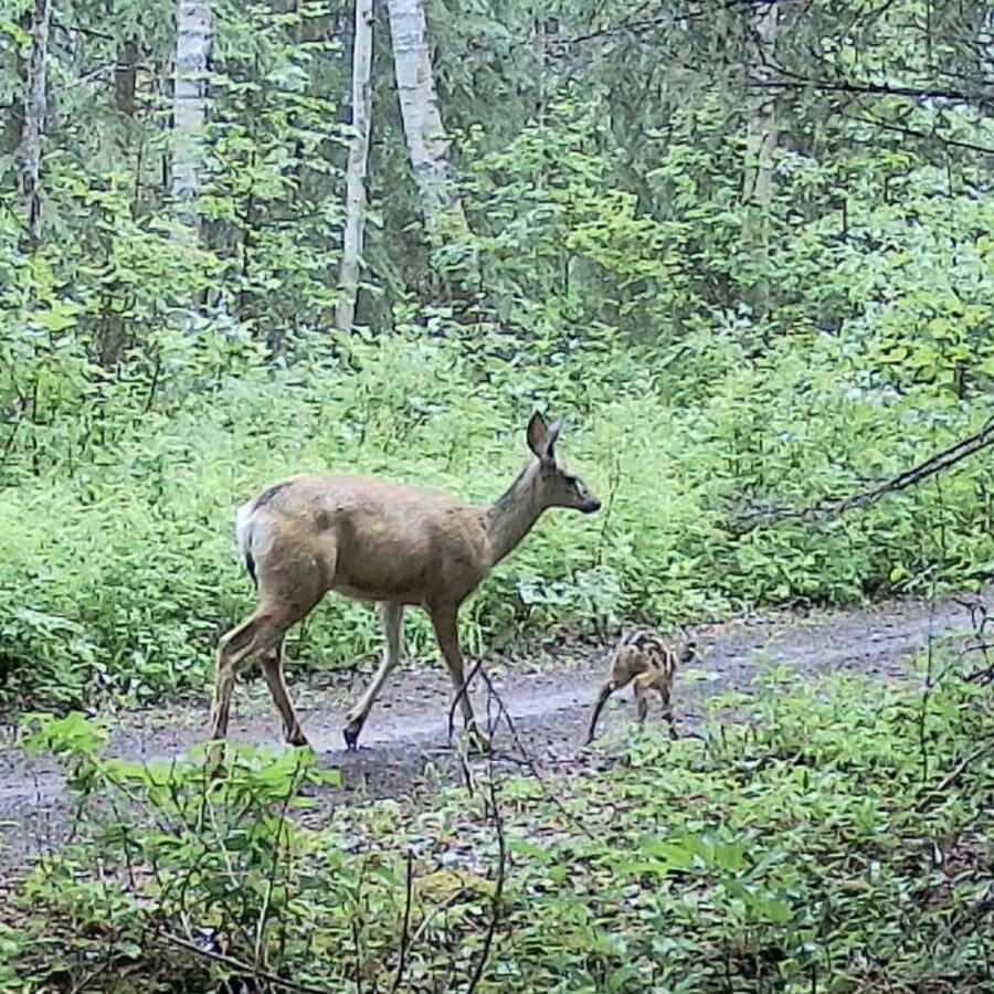 BC Outdoors Magazine