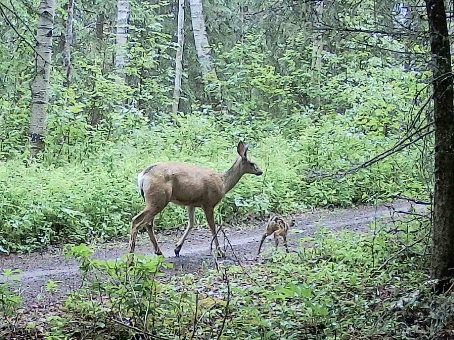Capturing Signs Of Spring • BC Outdoors Magazine